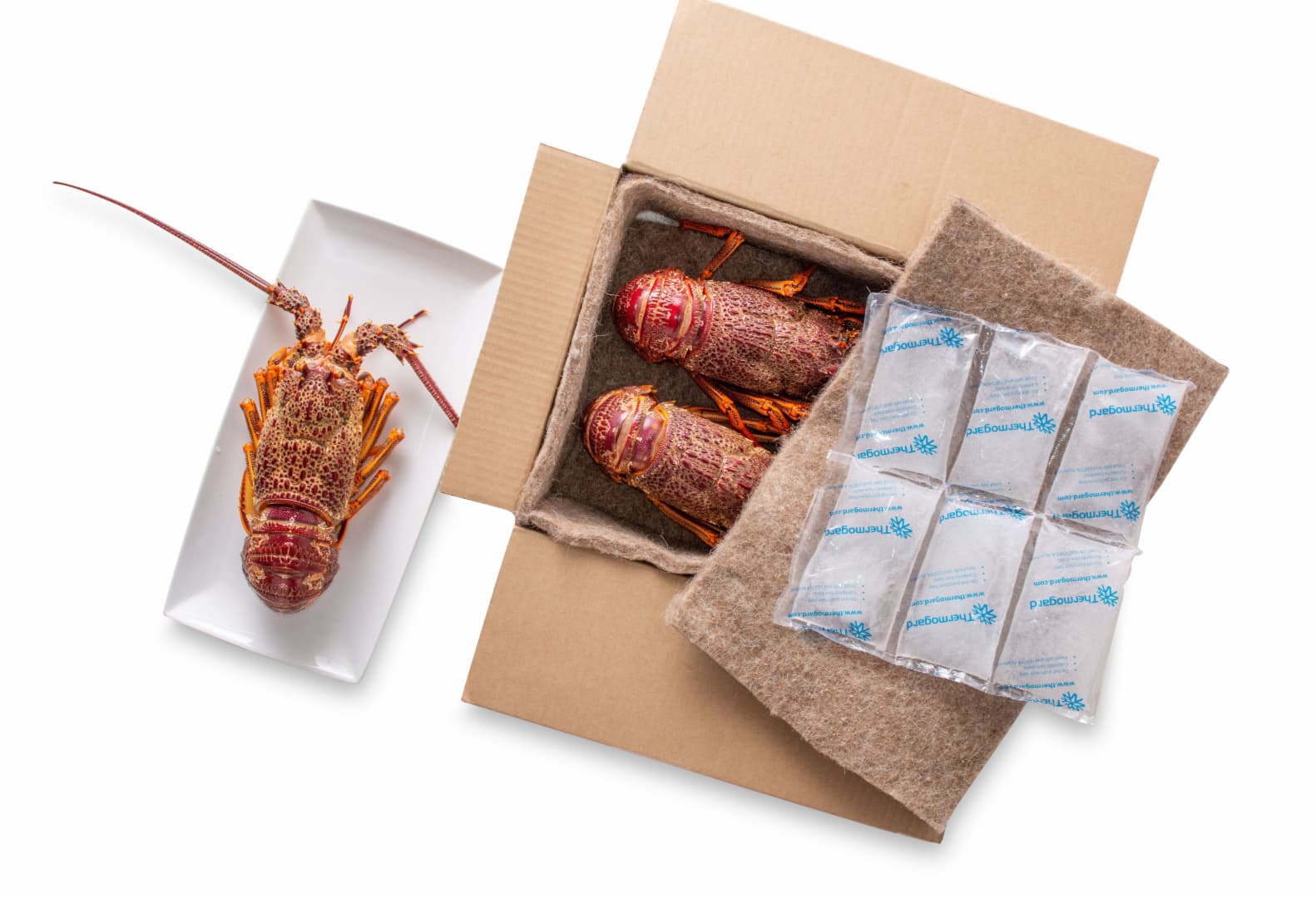 Protect your cold products when shipping - Woolpack - Universal Packaging